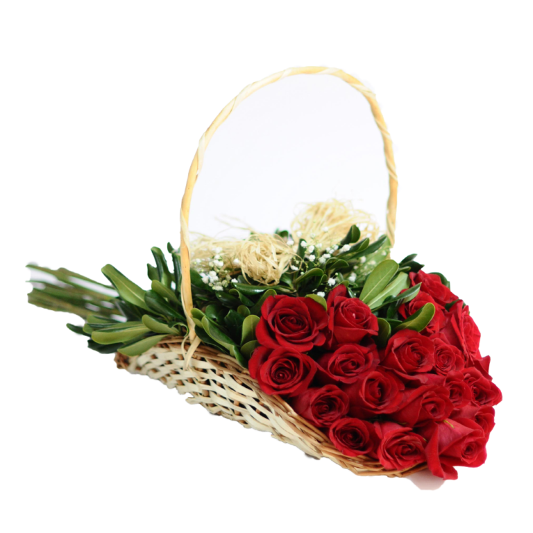 VIOLETERO DE 24 ROSAS ROJAS - Flores Paris