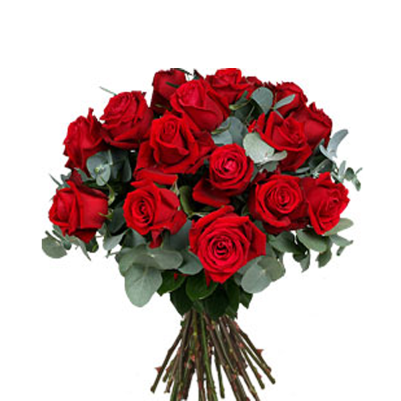 RAMO 24 ROSAS ROJAS - Flores Paris
