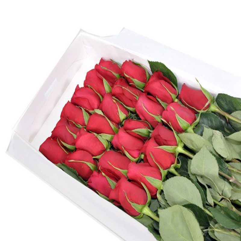 CAJA DE 24 ROSAS - Flores Paris