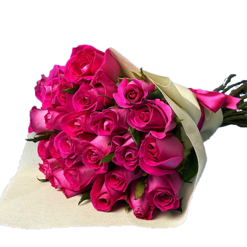 RAMO DE 24 ROSAS FUSCIA - Flores Paris